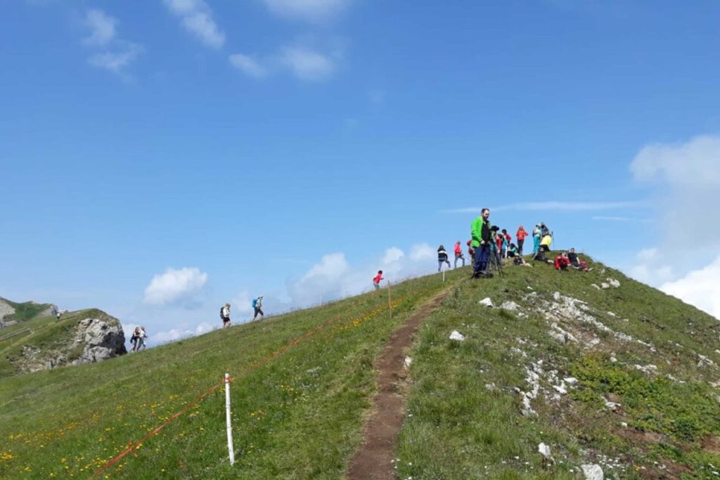 Tornelli simbolici a seceda per richiamare l’attenzione sul turismo di ...